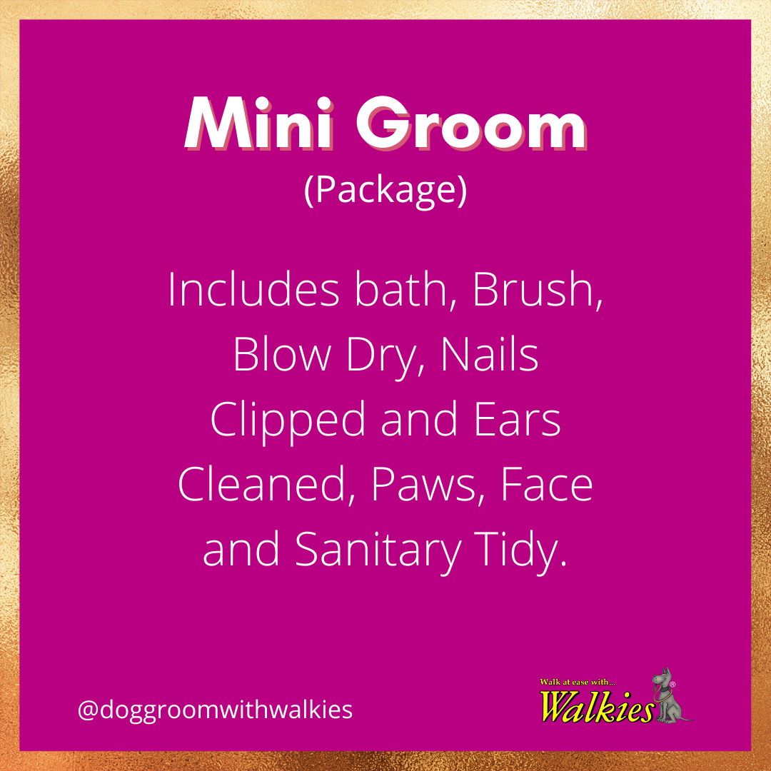 Dog Grooming With Walkies | Bath & Groom Sevice In Blackpool